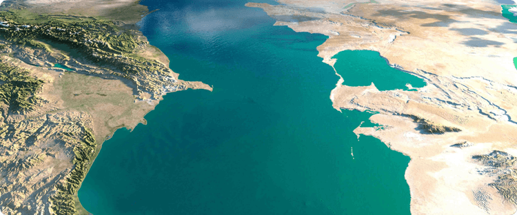 Our Impact | Firuza Foundation