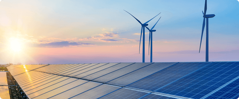 Our Impact | Firuza Foundation